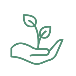 South African Honeybush Tea Association | Where natural wellness meets ...
